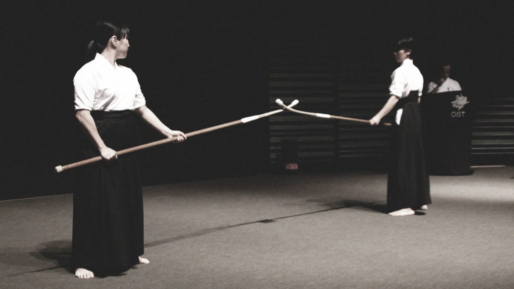 budo-japanese-martial-arts-8 - SANTEN Design