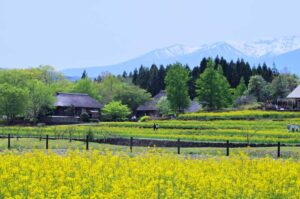 What is Japanese Traditional House Kominka - SANTEN Design